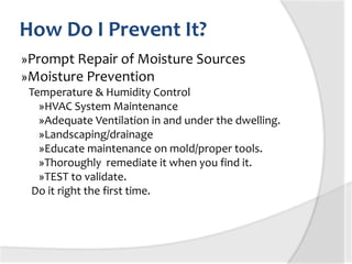 A Guide to Mold Prevention for Property Management and HOAs | PPTX ...