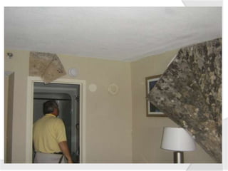 A Guide to Mold Prevention for Property Management and HOAs | PPTX ...