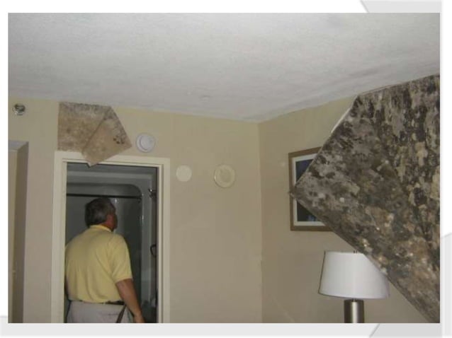 A Guide to Mold Prevention for Property Management and HOAs | PPTX ...