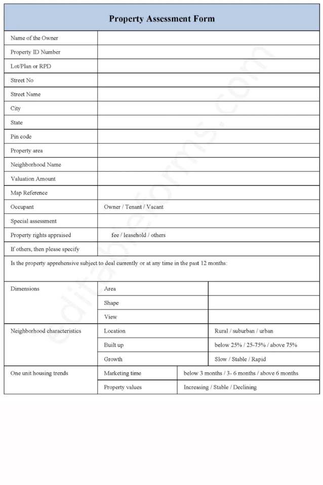 Property Assessment Fillable PDF Template | PDF
