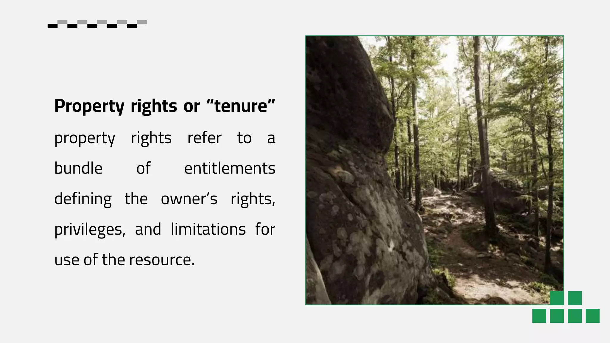 Property rights in natural resources.pptx