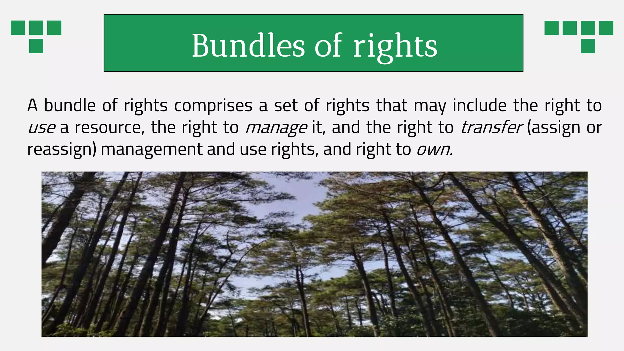 Property rights in natural resources.pptx | Science