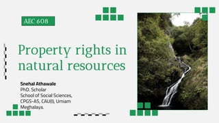 Property rights in natural resources.pptx