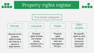Property rights in natural resources.pptx