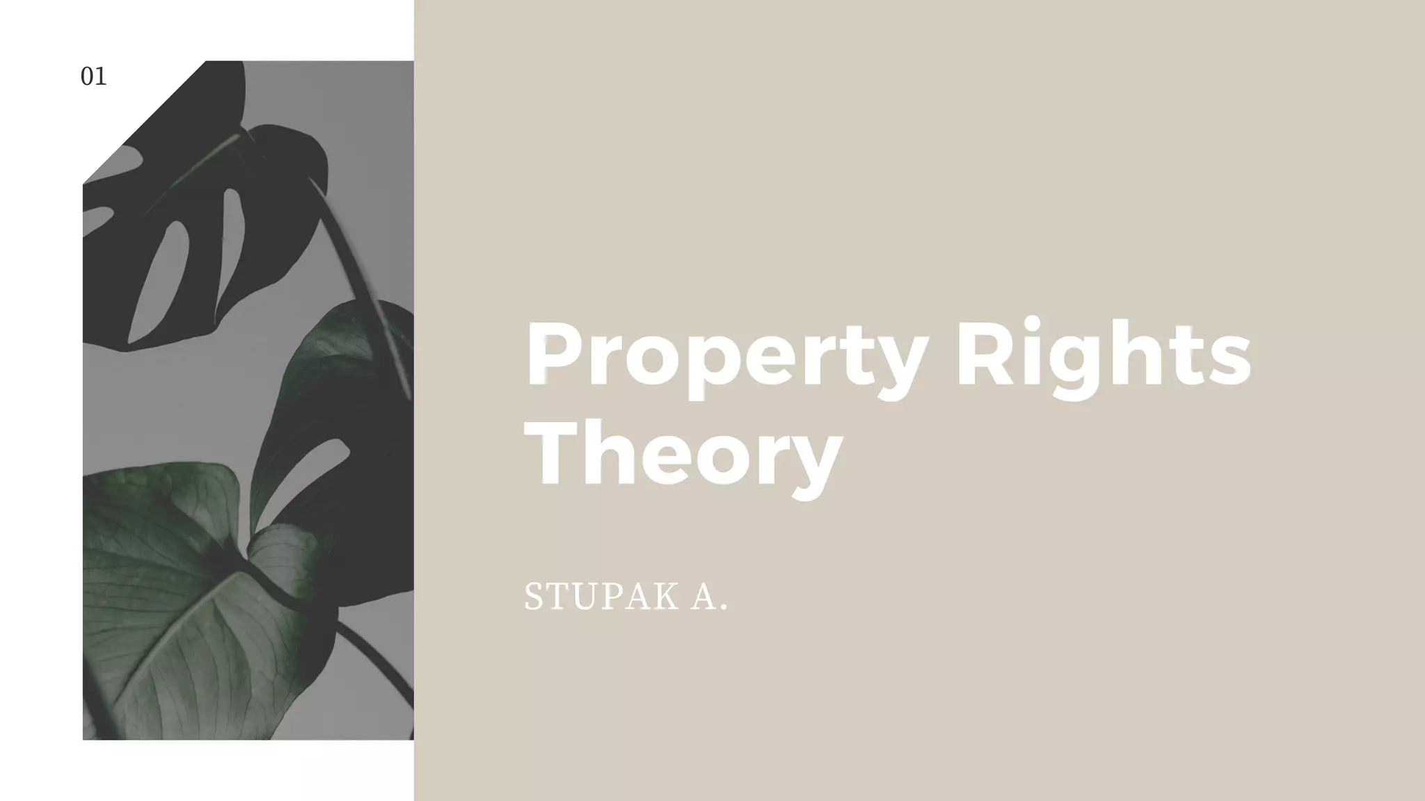 Property rights theory | PDF