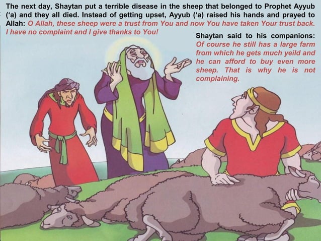 Prophet Ayyub (a.s.) | PPS