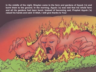 Prophet Ayyub (a.s.) | PPS