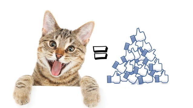 Prophix Explainer: Visual Analytics | PPT