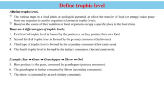 rrb fbfrbrgrgrfgtfgrgrgrgrhrhe dgrgrg rgrgrg eeg | PPTX