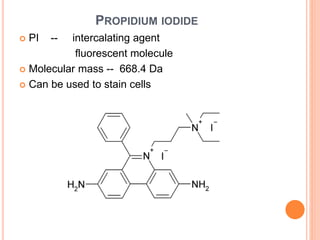 Propidium iodide exclusion assay | PPTX
