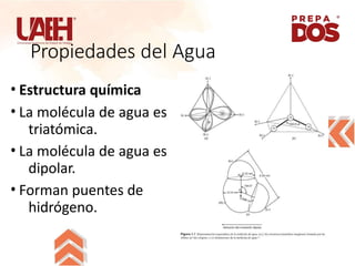 propiedades fisicas y quimicas del agua.pptx