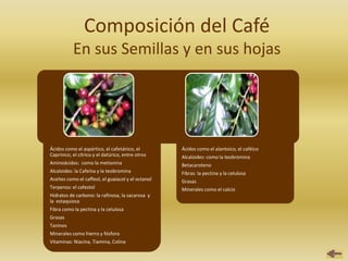 Propiedades cafe | PPTX