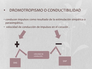 Propiedades cardiacas. fisiologia | PPTX