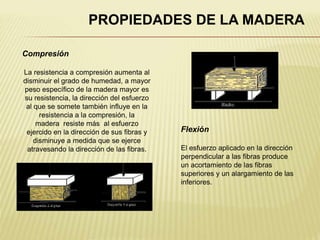 Propiedades de la madera | PPTX