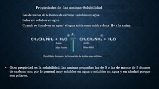 Propiedades fisicas y química de las aminas,.pptx