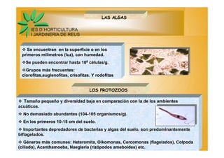 Propiedades químicas y bioloógicas del suelo | PDF