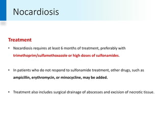 Propionibacterium, Actinomyces and Nocardia | PDF