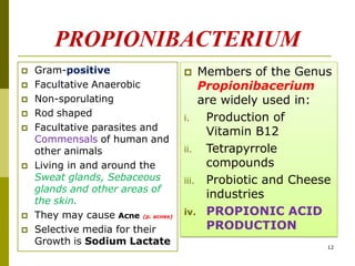 propionic acid productiiiiiiiiiiion.pptx