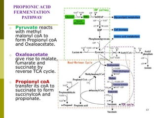 propionic acid productiiiiiiiiiiion.pptx