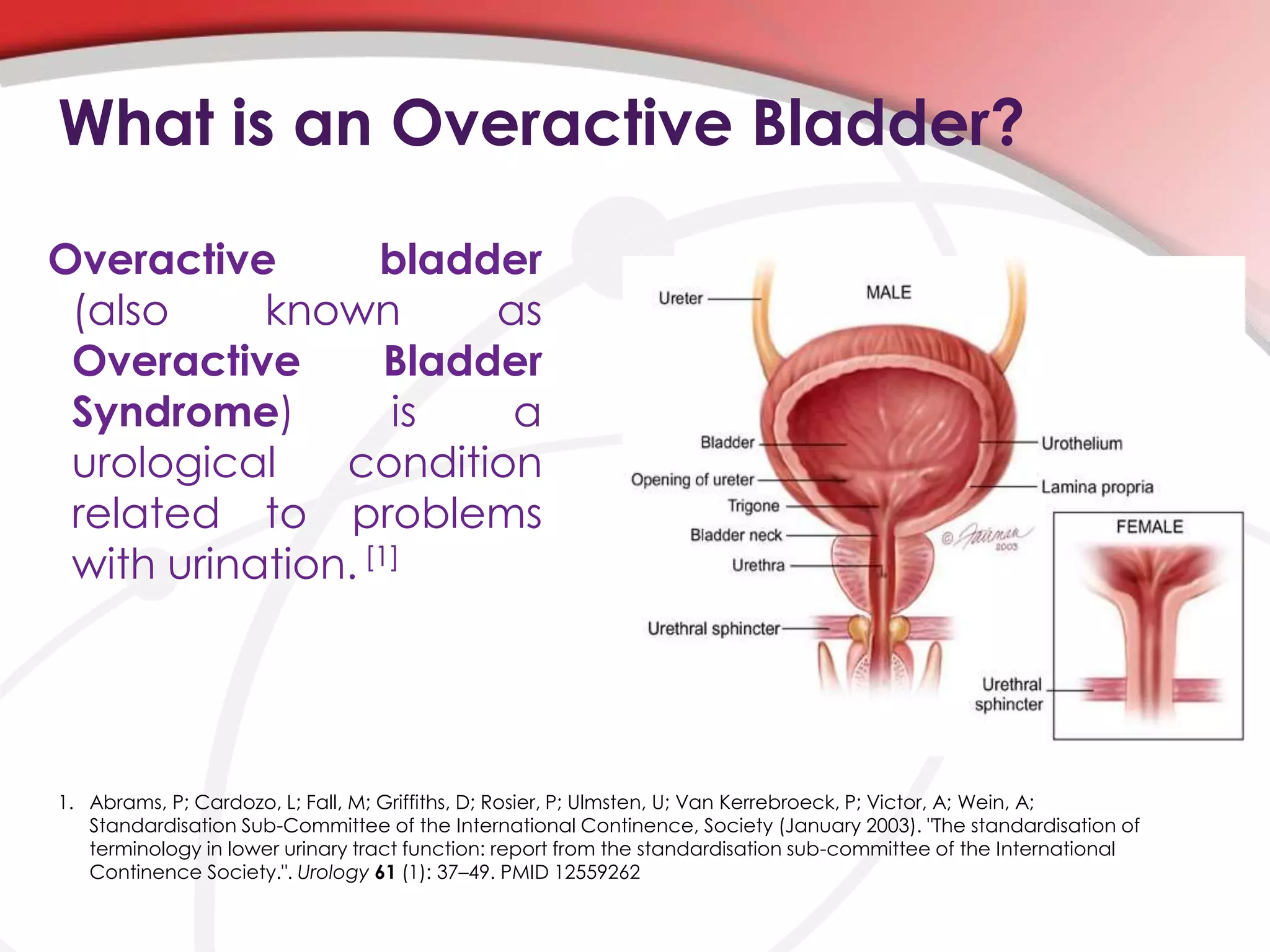Propiverine hydrochloride vs previous anticholinergic agents (For Overactive Bladder) | PPT