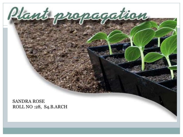 Propogation of plants | PPTX