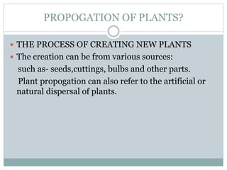 Propogation of plants | PPTX