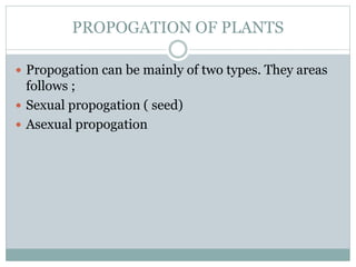 Propogation of plants | PPTX