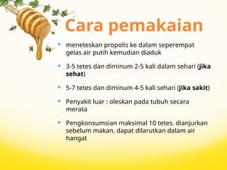 Introduction of BBA (PROPOLIS-ppt).pptx
