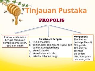 Introduction of BBA (PROPOLIS-ppt).pptx