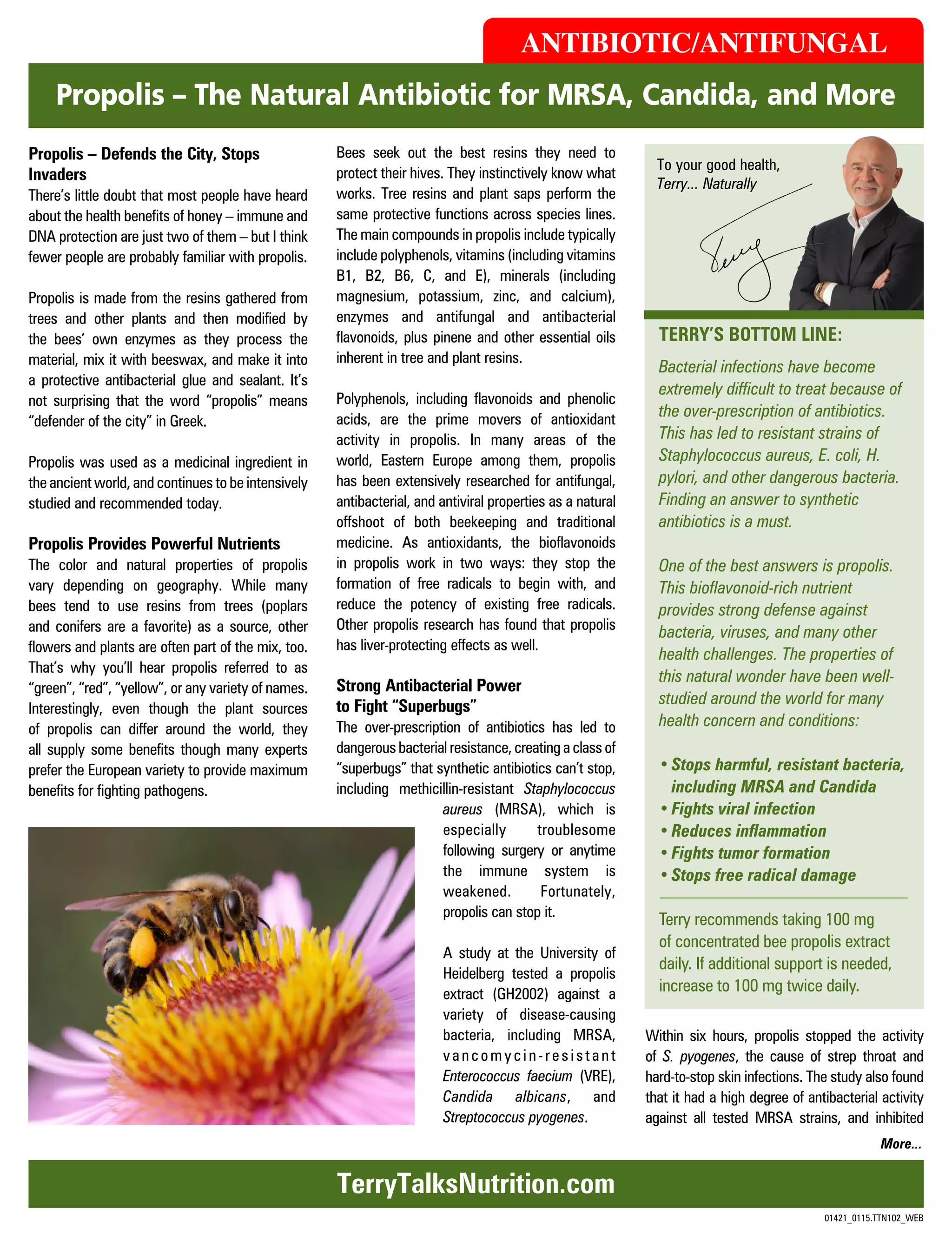 Propolis - The Natural Antibiotic against MRSA, Candida, and More | PDF ...