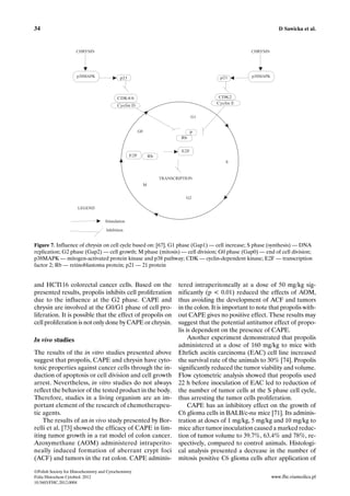 Propolis Anticancer Activity Reviewed | PDF