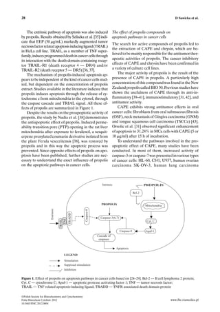 Propolis Anticancer Activity Reviewed | PDF