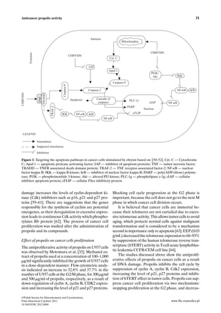 Propolis Anticancer Activity Reviewed | PDF