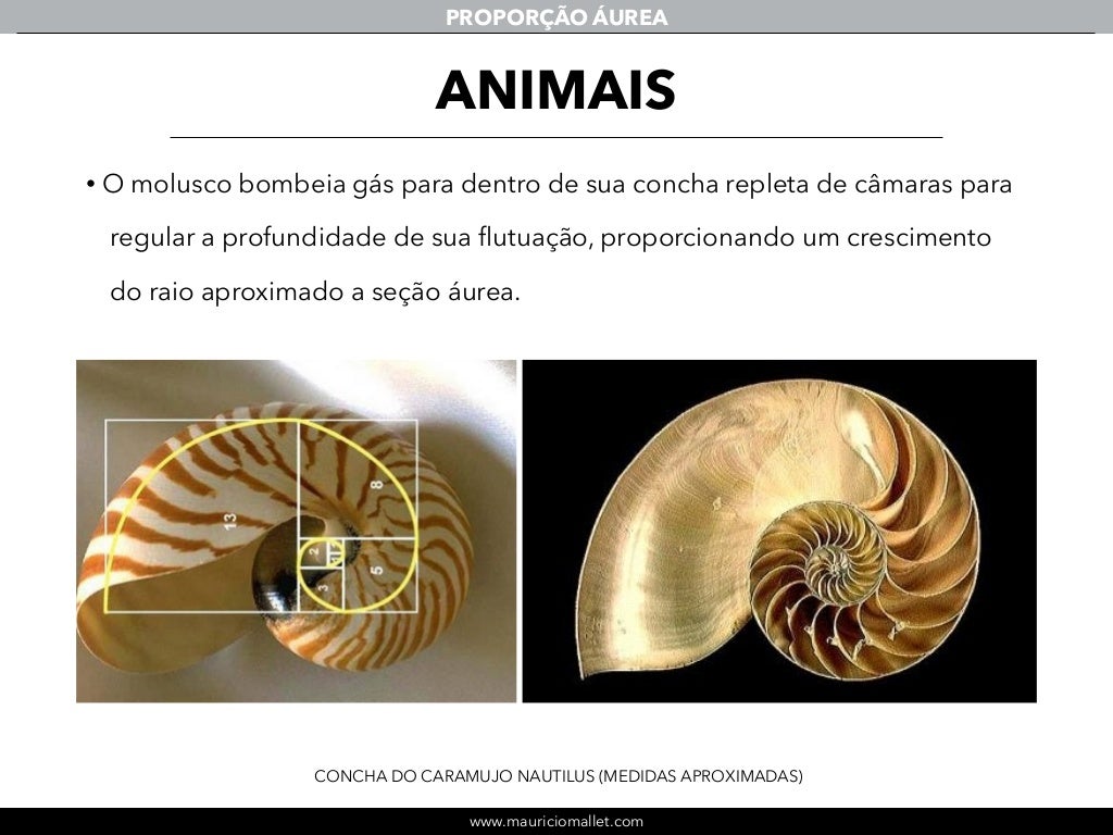 Aurea Alimentação E Serviços - EDUCA