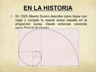 Proporción áurea | PPT