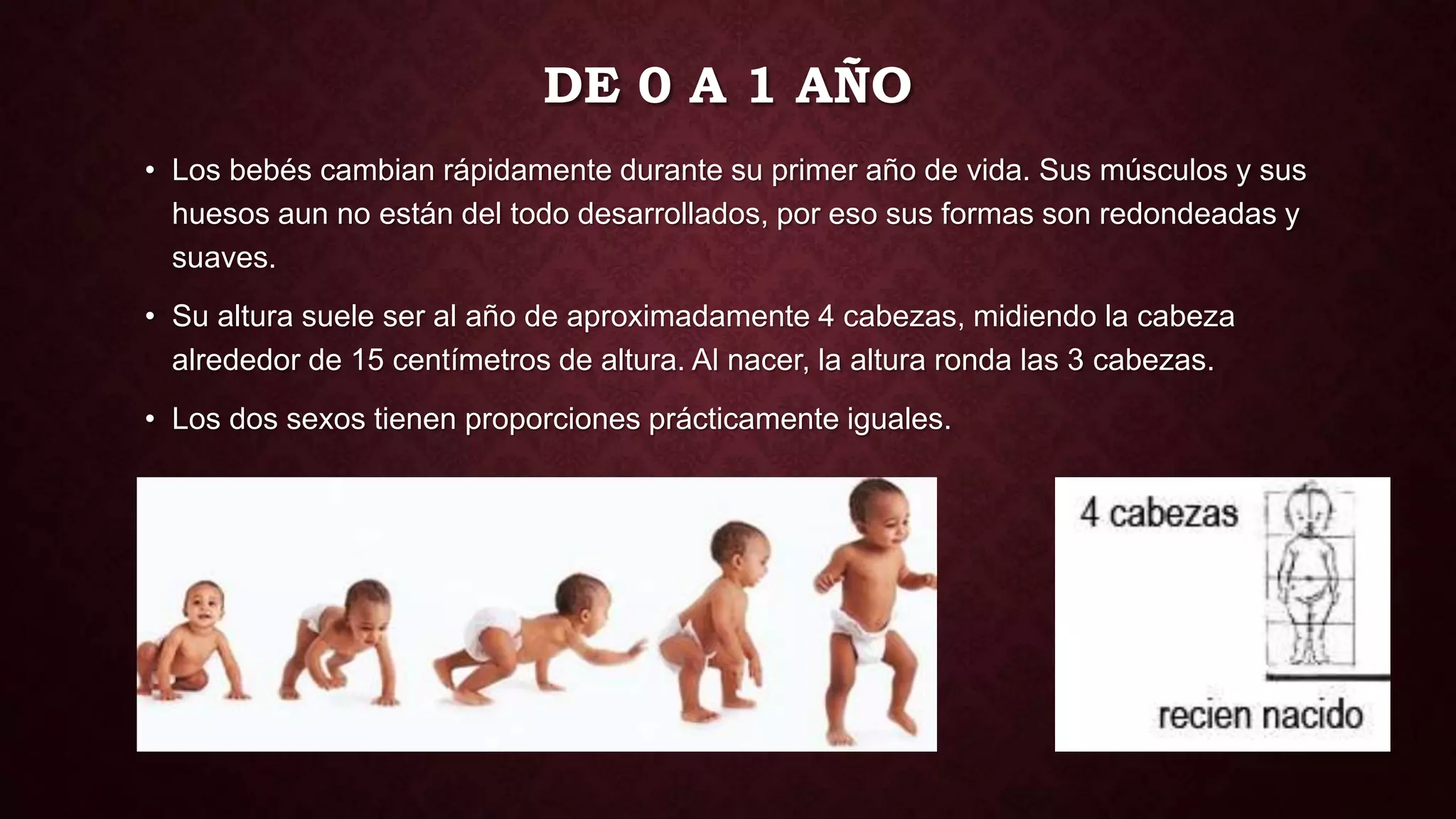 Proporcion Del Cuerpo Pptx Drawing And Sketching Arts And Crafts