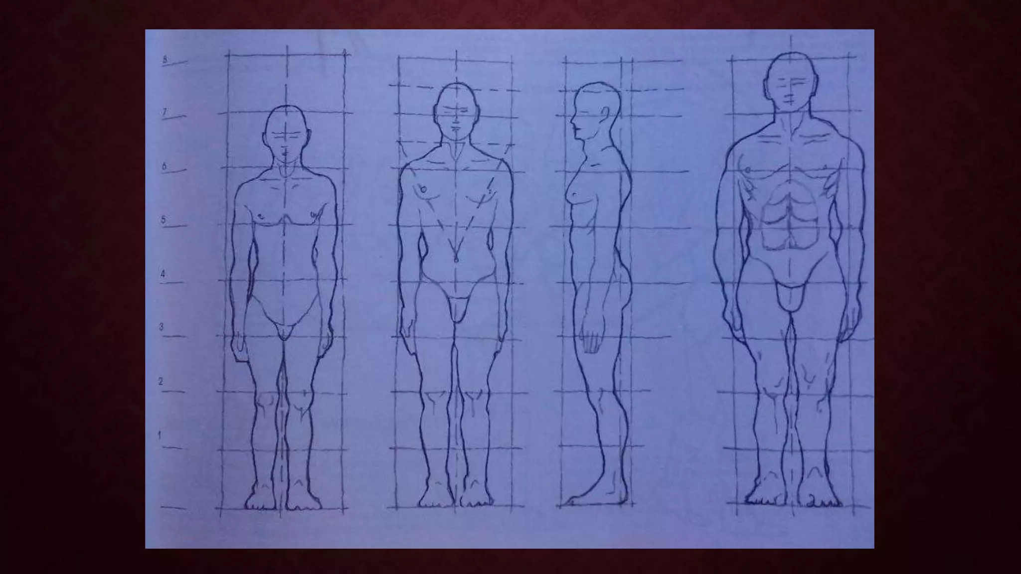 Proporcion Del Cuerpo Pptx Drawing And Sketching Arts And Crafts