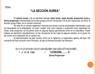 Proporcion del cuerpo_humano | PPT