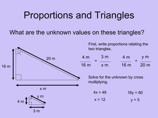 Proportional shapes | PPT