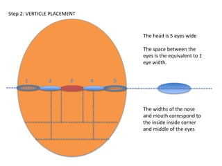 Drawing: Proportions of a face | PPTX