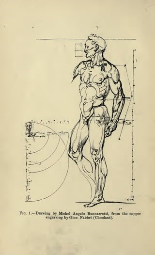 Perfect Human Body Proportions