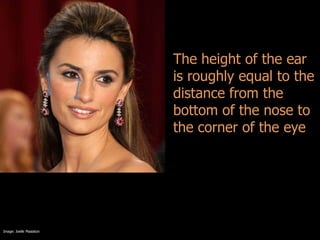 Proportions of the human form | PPS