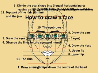 Proportions of the human form | PPS