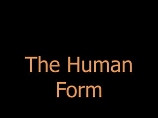 Proportions of the human form | PPS