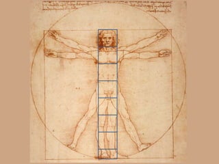 Proportions of the human form | PPS