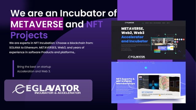Proposal NFT Metaverse Projects.pdf