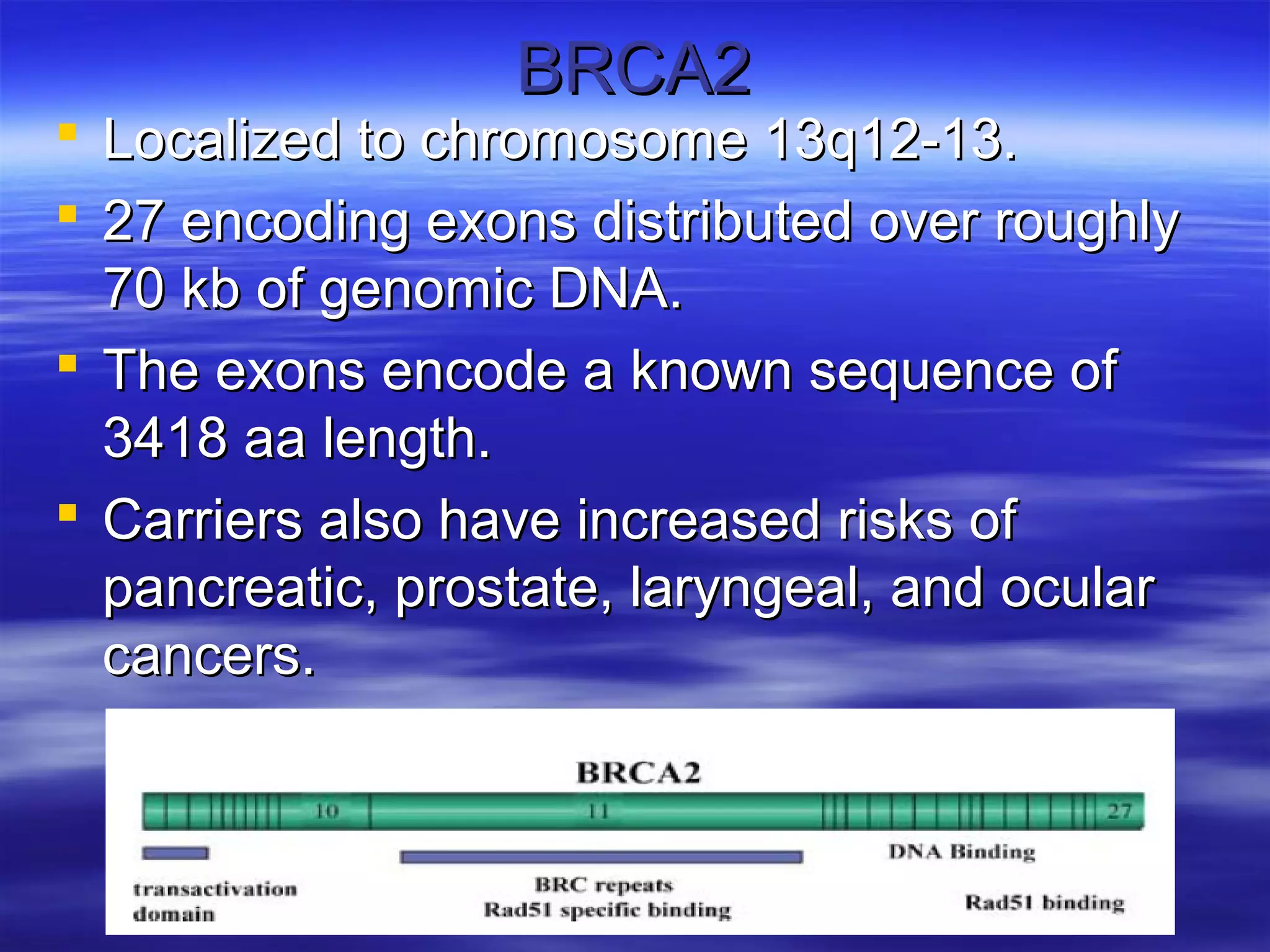 Breast cancer research | PPT