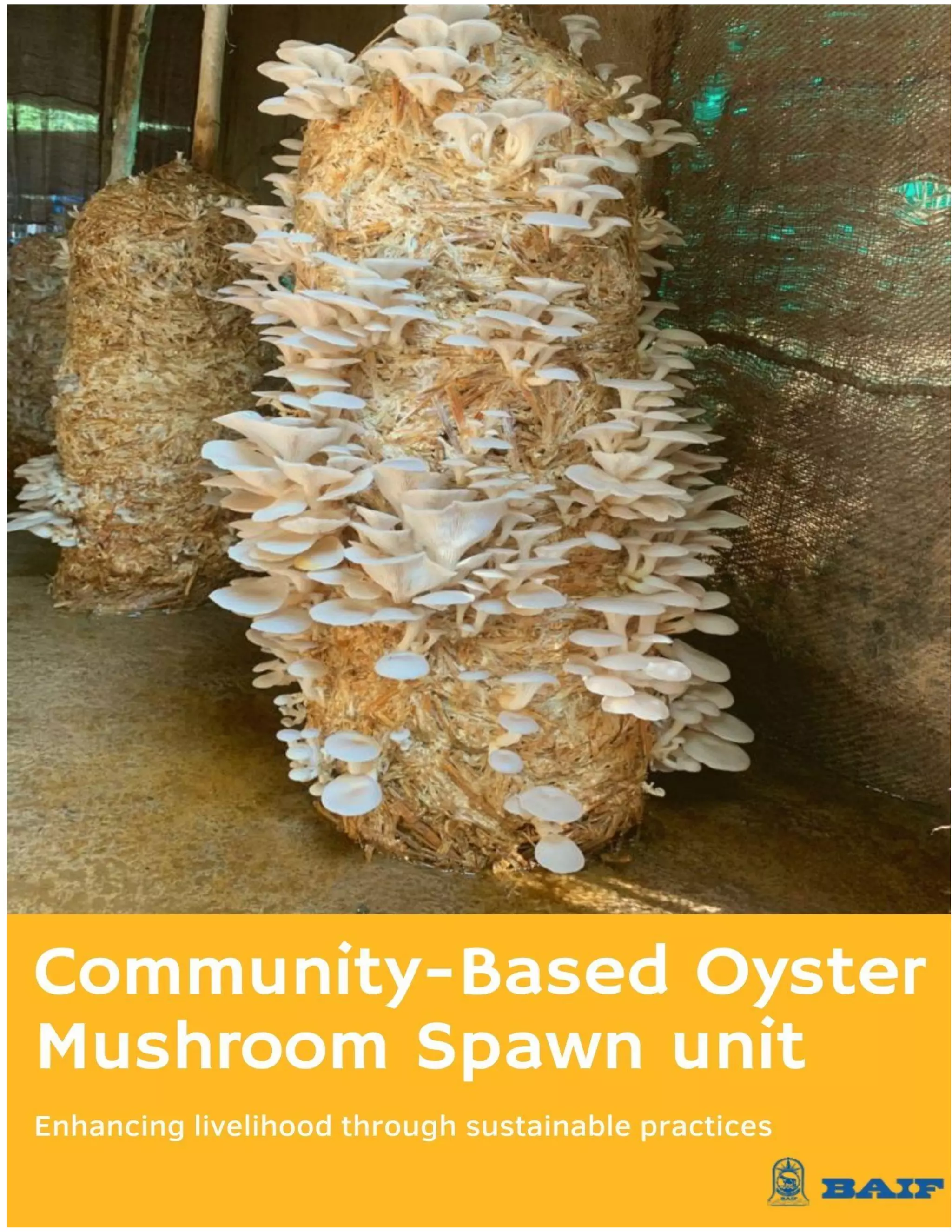 Proposal for community mushroom spawn unit | PDF