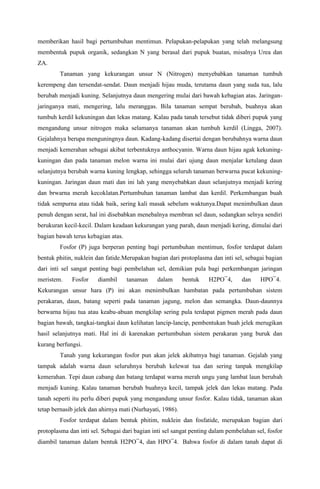 Proposal mentimun | DOCX