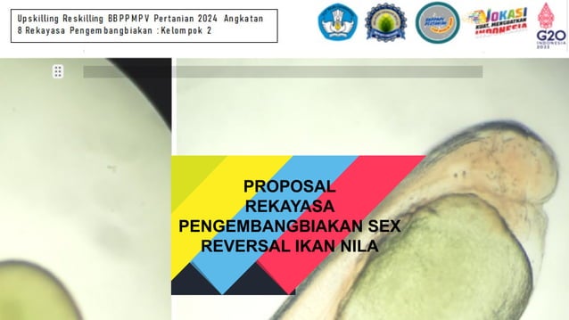 PROPOSAL PJBL Ebas Denga Bhaso, S.Pi.pptx